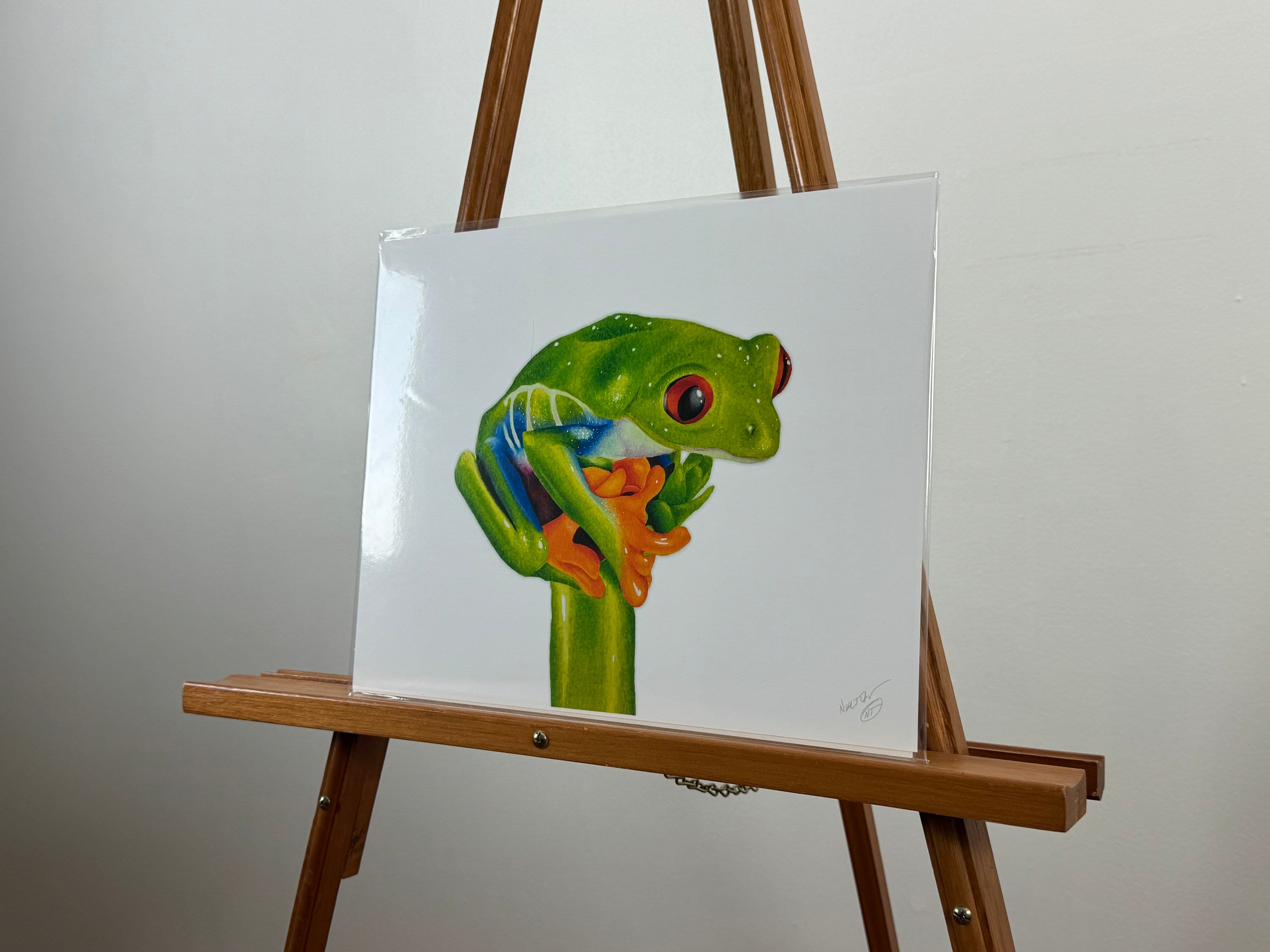 Green Tree Frog 1 Original Art Print - Etsy