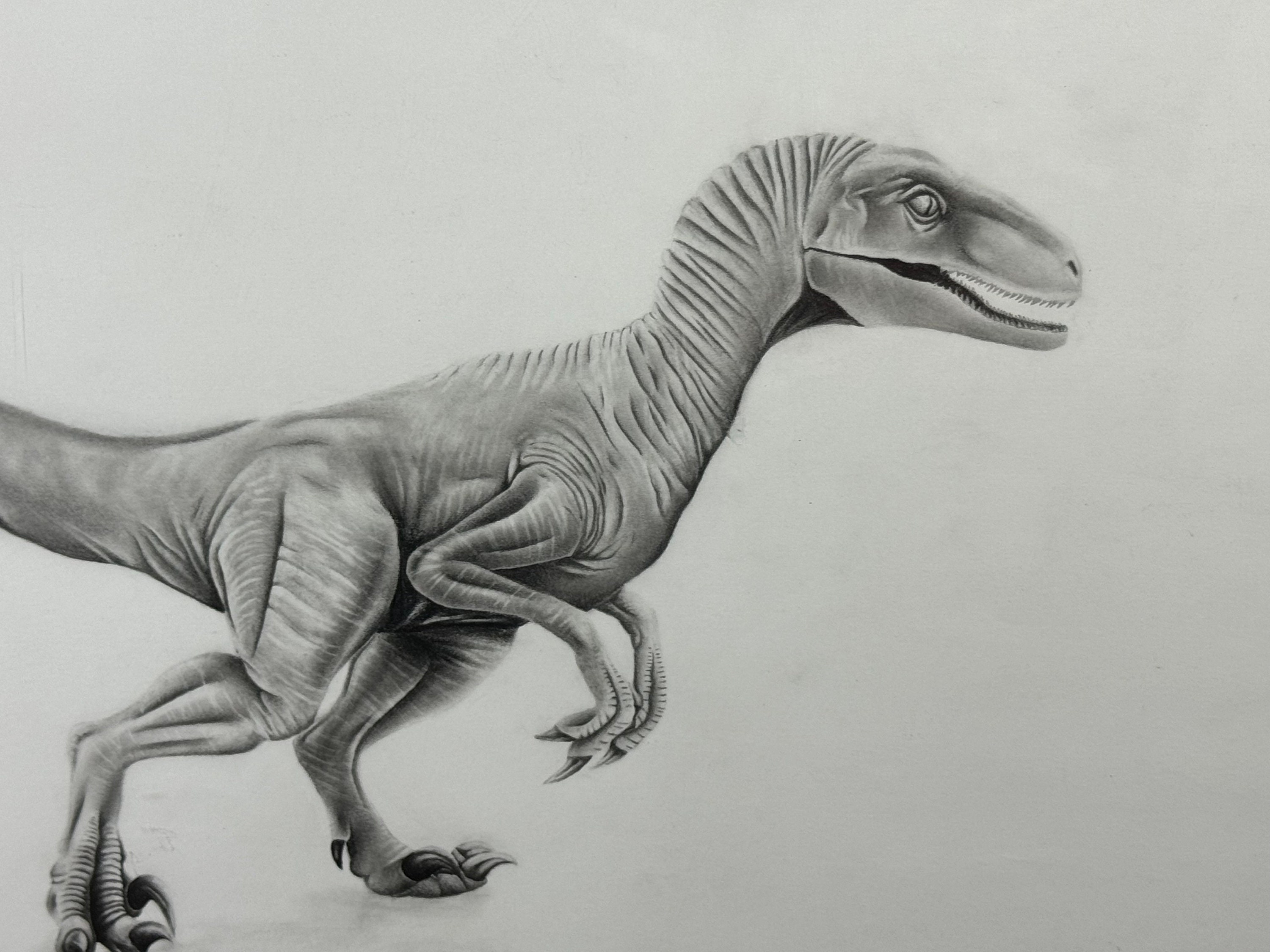 Dromaeosaur Raptor Original Graphite Art Piece - Etsy