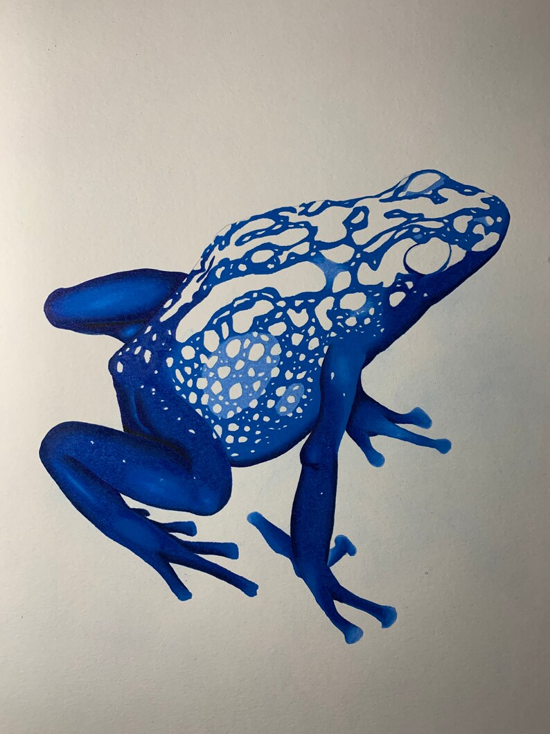 Poison Dart Frog Original Art Print - Etsy