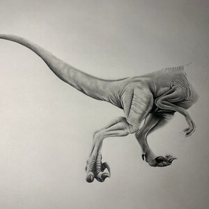 Dromaeosaur Raptor Original Graphite Art Piece - Etsy
