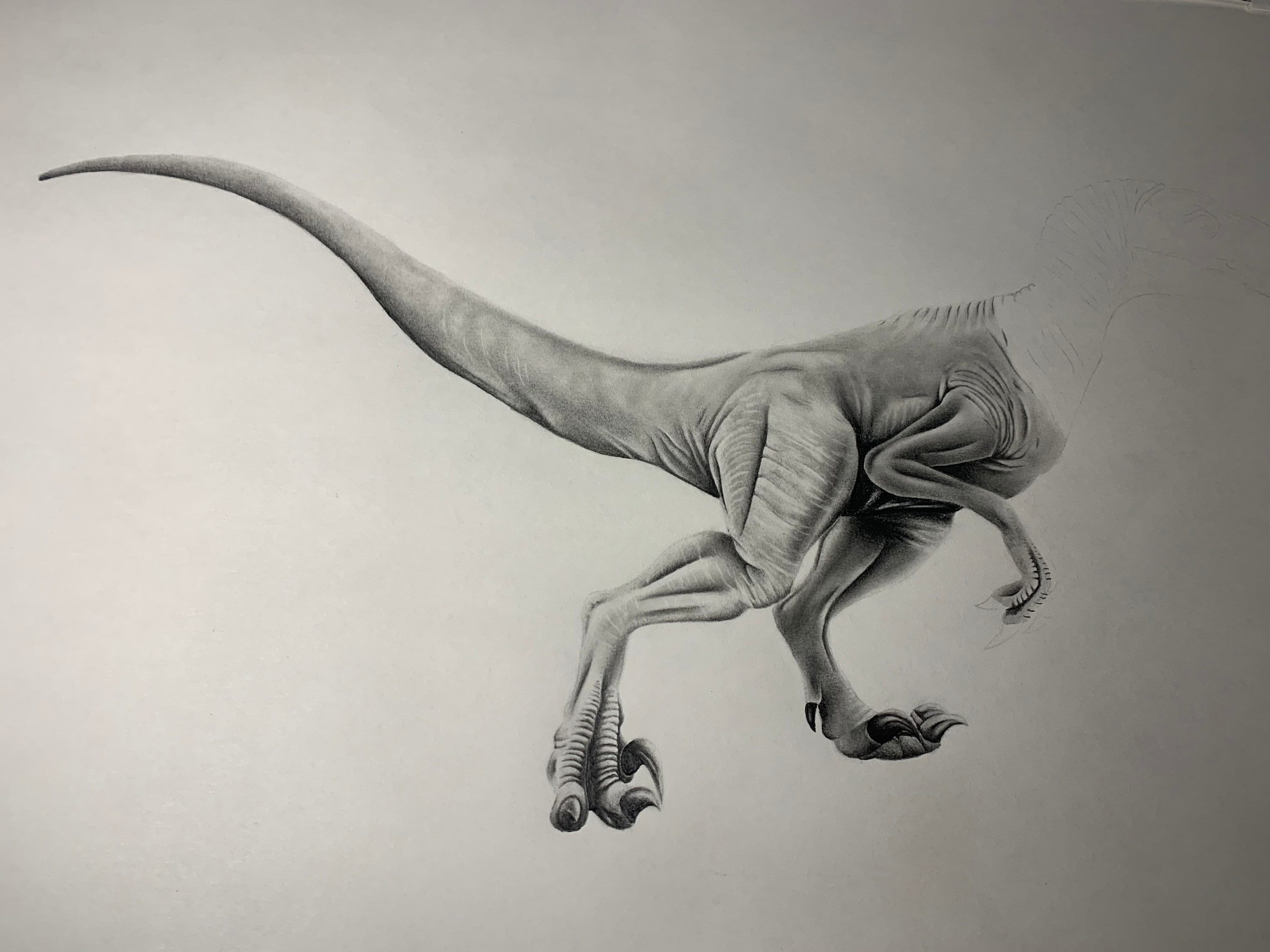 Dromaeosaur Raptor Original Graphite Art Piece - Etsy