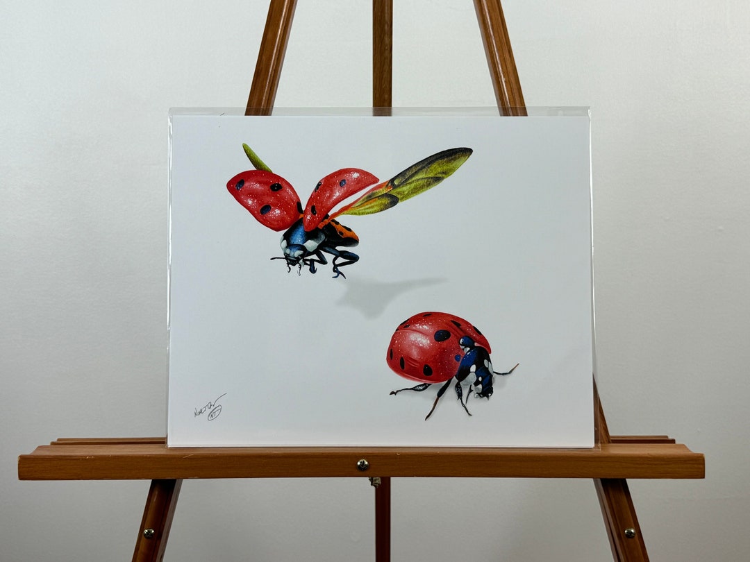 Ladybug Portrait Original Art Print - Etsy
