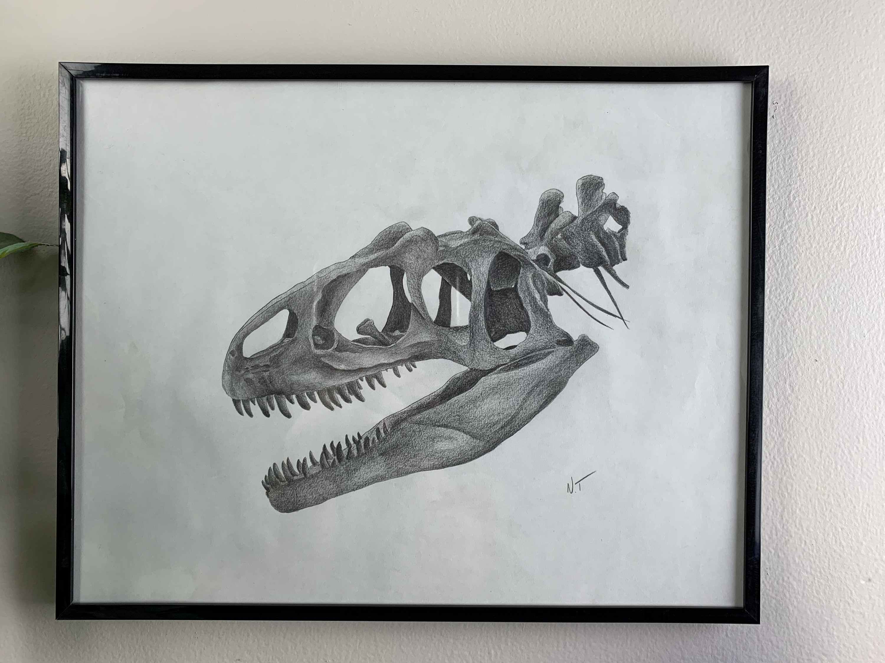 Velociraptor Skull Drawing