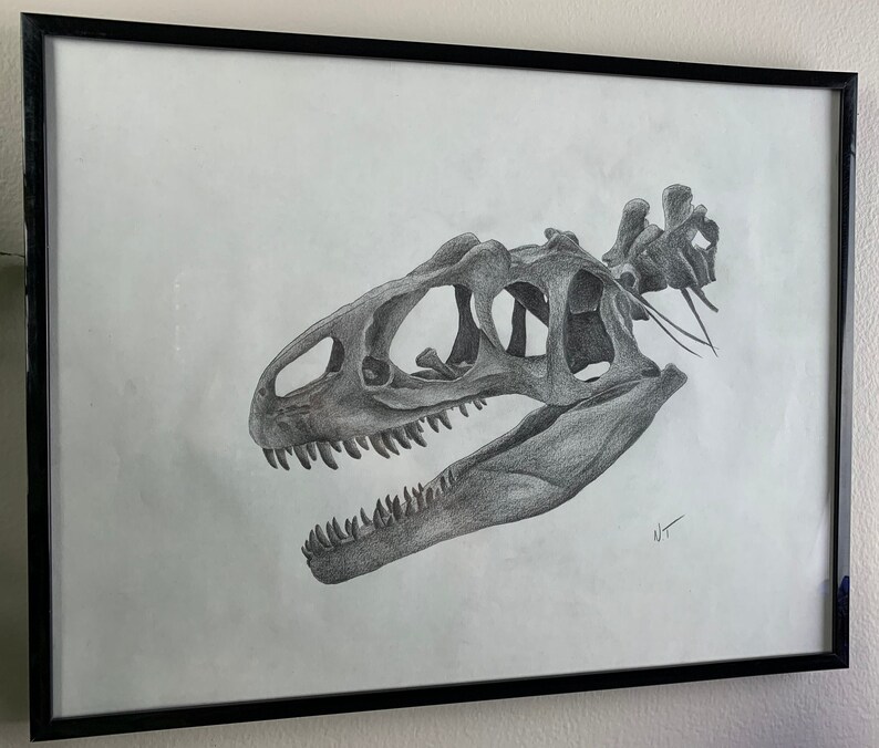 Dinosaur Allosaurus Skull Original Premium Graphite Sketch Art Piece - Etsy