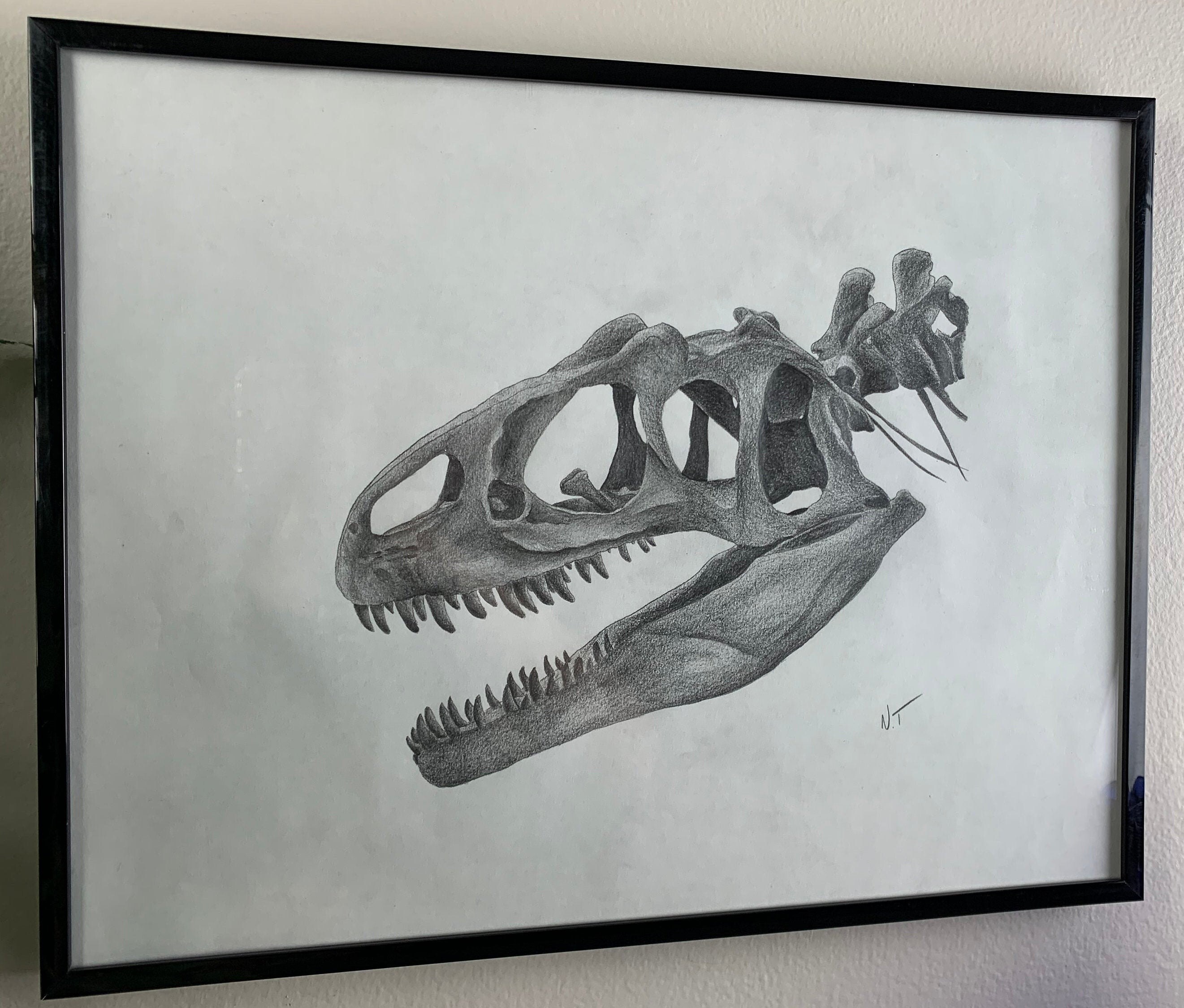 Dinosaur Allosaurus Skull Original Premium Graphite Sketch Art Piece - Etsy