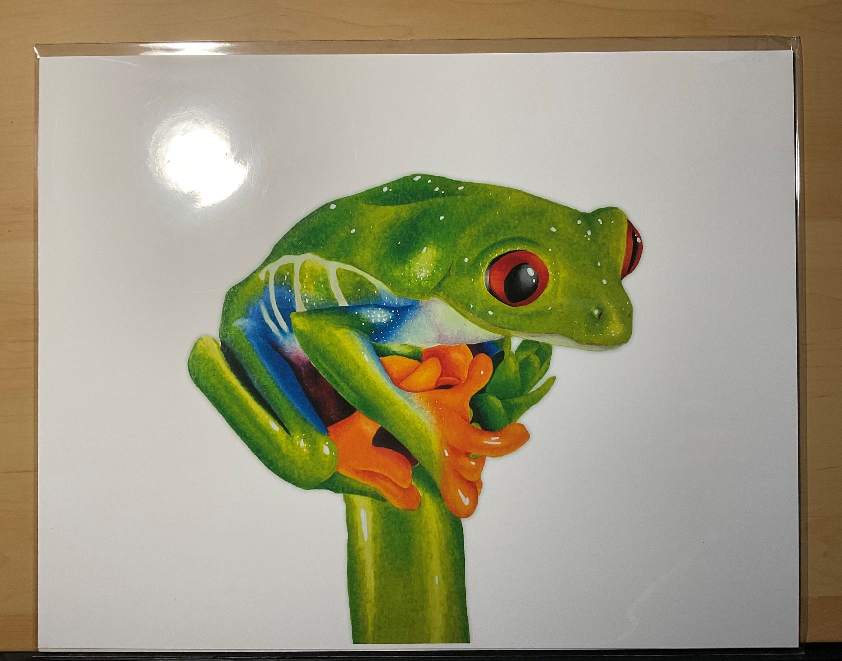 Green Tree Frog 1 Original Art Print - Etsy