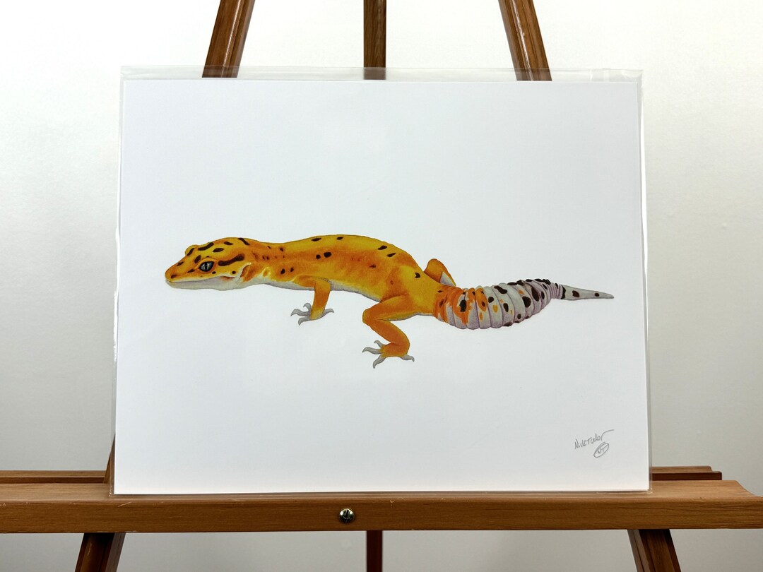 Leopard Gecko Original Art Print - Etsy