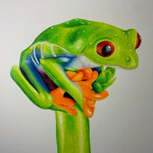 Green Tree Frog 1 Original Art Print - Etsy