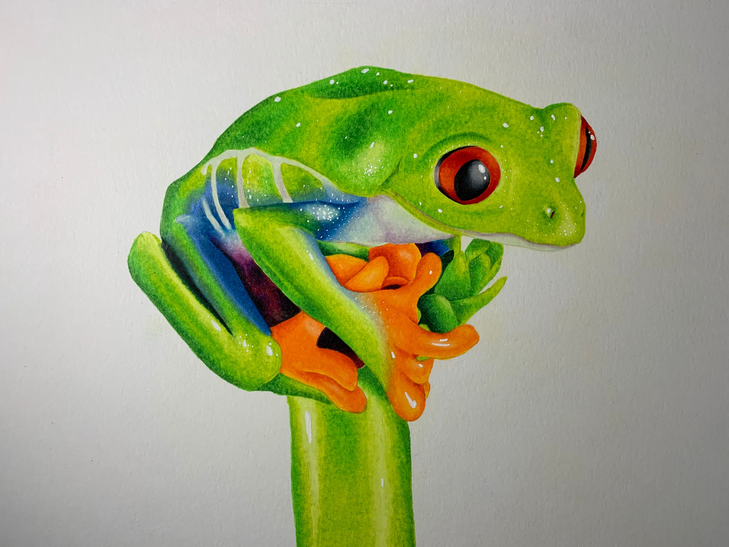 Green Tree Frog 1 Original Art Print - Etsy