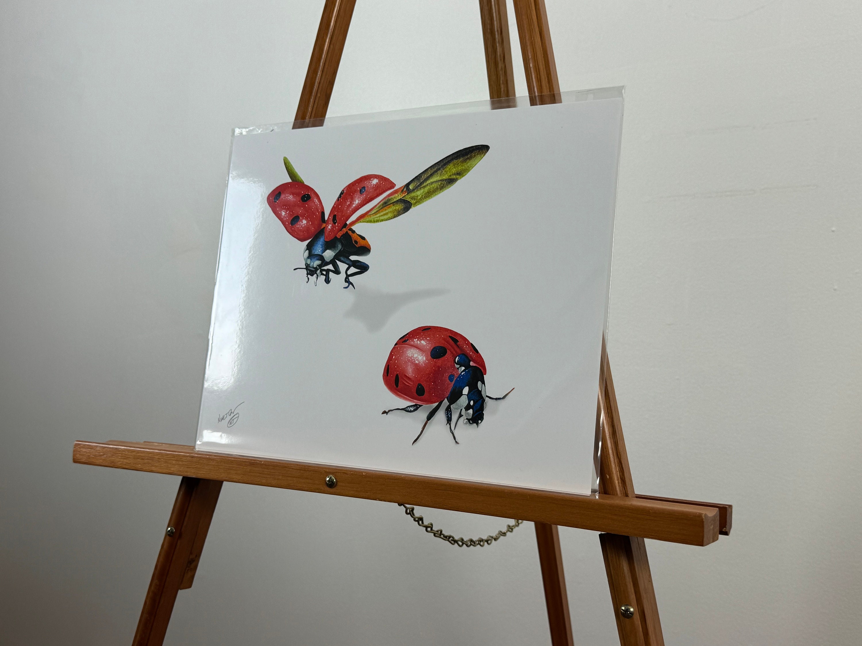 Ladybug Portrait Original Art Print - Etsy