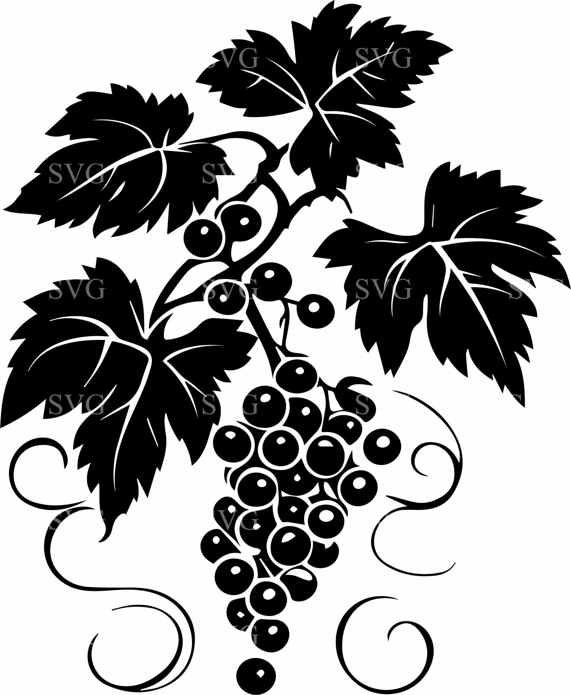 8 Grapevine Silhouette SVG 8 Cut File - Elegant Grape Cluster Design ...