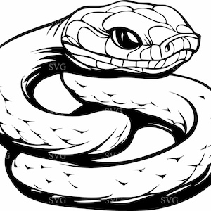 Coiled Snake SVG 8 Cut File - Fierce Cobra Silhouette Design - Bold ...