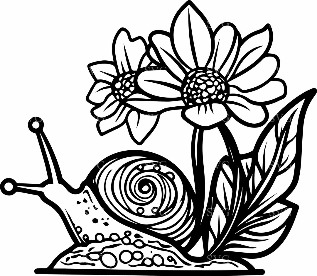 8 Floral Snail SVG, 8 Elegant Garden Insect With Flowers, Nature ...