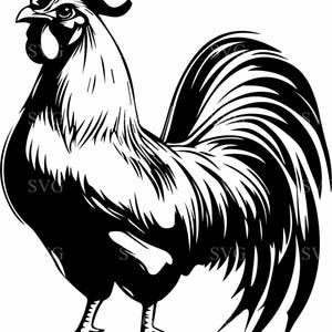 10 Rooster SVG Cut File, Farm Animal Silhouette for Cricut and Laser ...