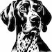 Pointer Dog SVG, 4 Detailed Hunting Dog Silhouette Cut File, Outdoor ...