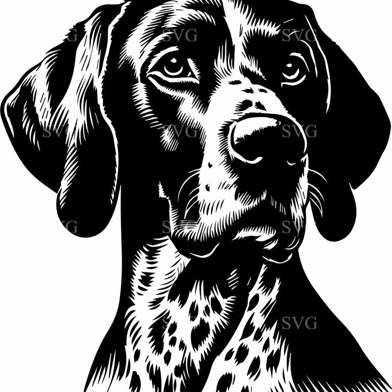 English Pointer Dog - Etsy