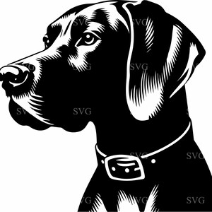 Pointer Dog SVG, 4 Detailed Hunting Dog Silhouette Cut File, Outdoor ...