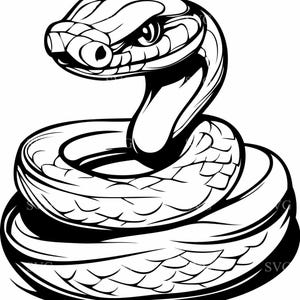 8 Coiled Snake SVG 8 Cut File - Fierce Cobra Silhouette Design - Bold ...