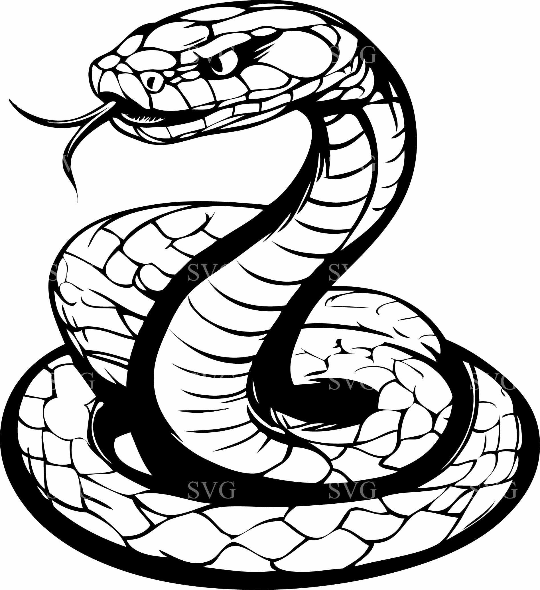 8 Coiled Snake SVG 8 Cut File - Fierce Cobra Silhouette Design - Bold ...