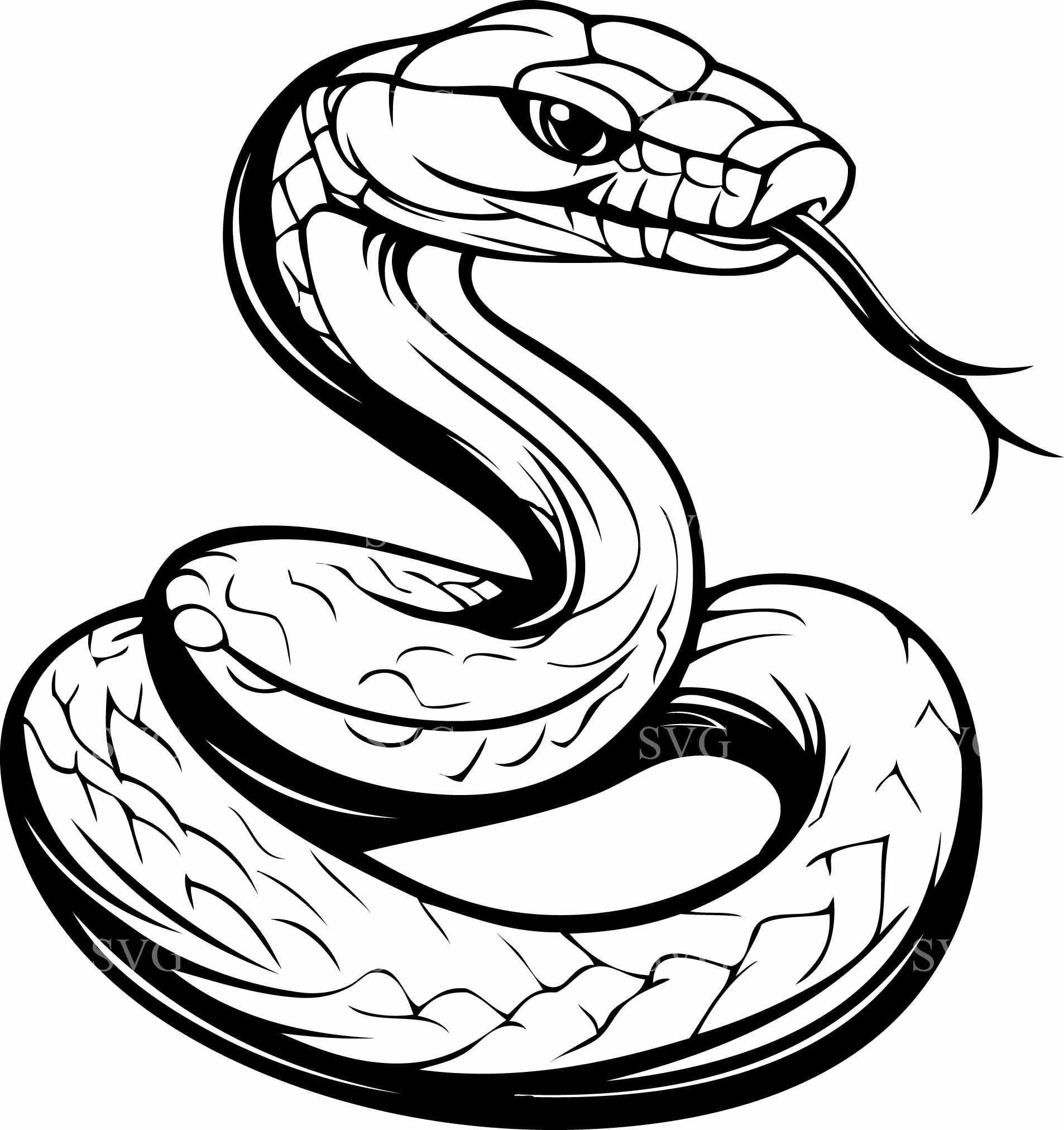8 Coiled Snake SVG 8 Cut File - Fierce Cobra Silhouette Design - Bold ...