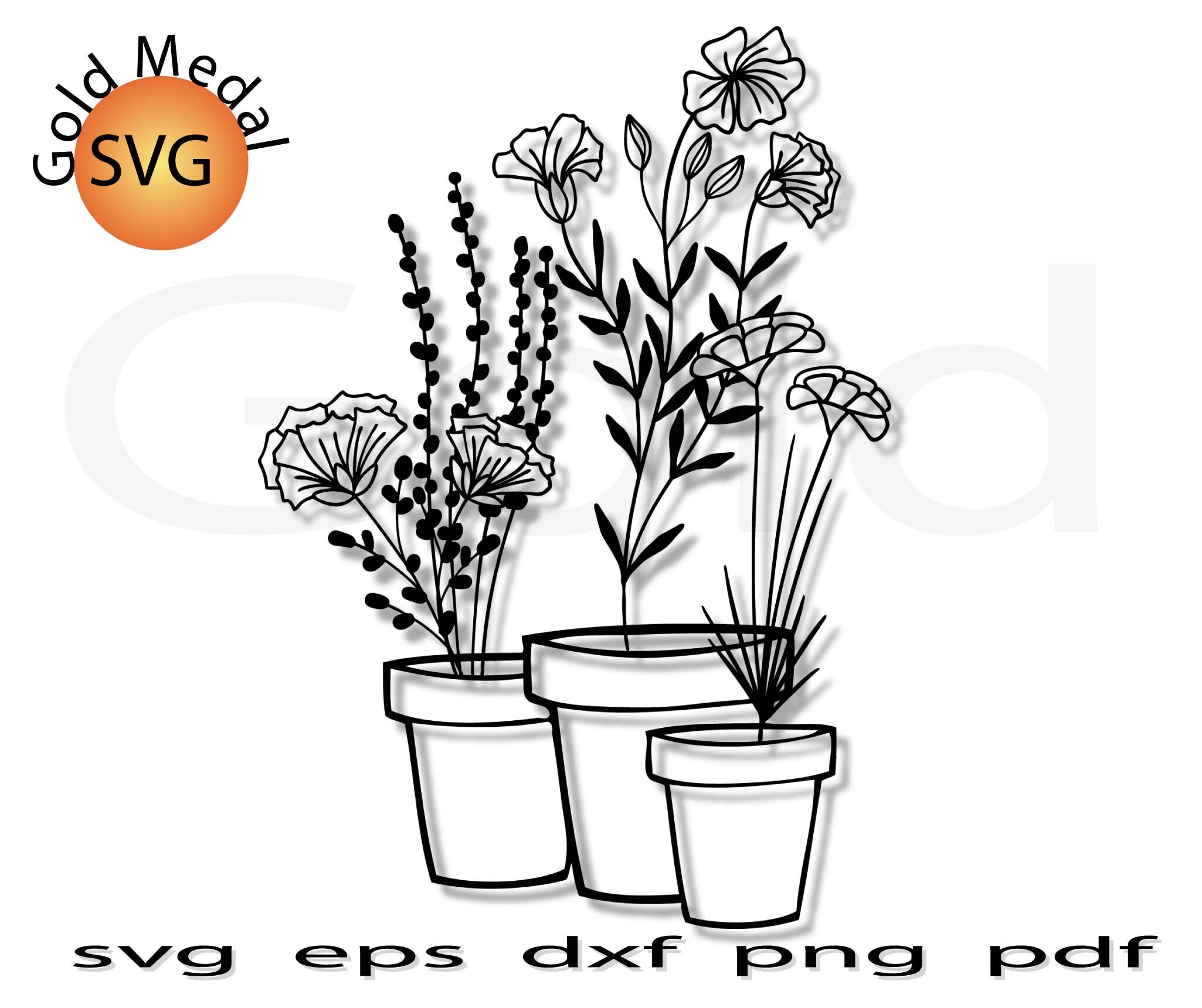 Potted Plants And Flowers Drawing
