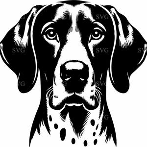Pointer Dog SVG, 4 Detailed Hunting Dog Silhouette Cut File, Outdoor ...