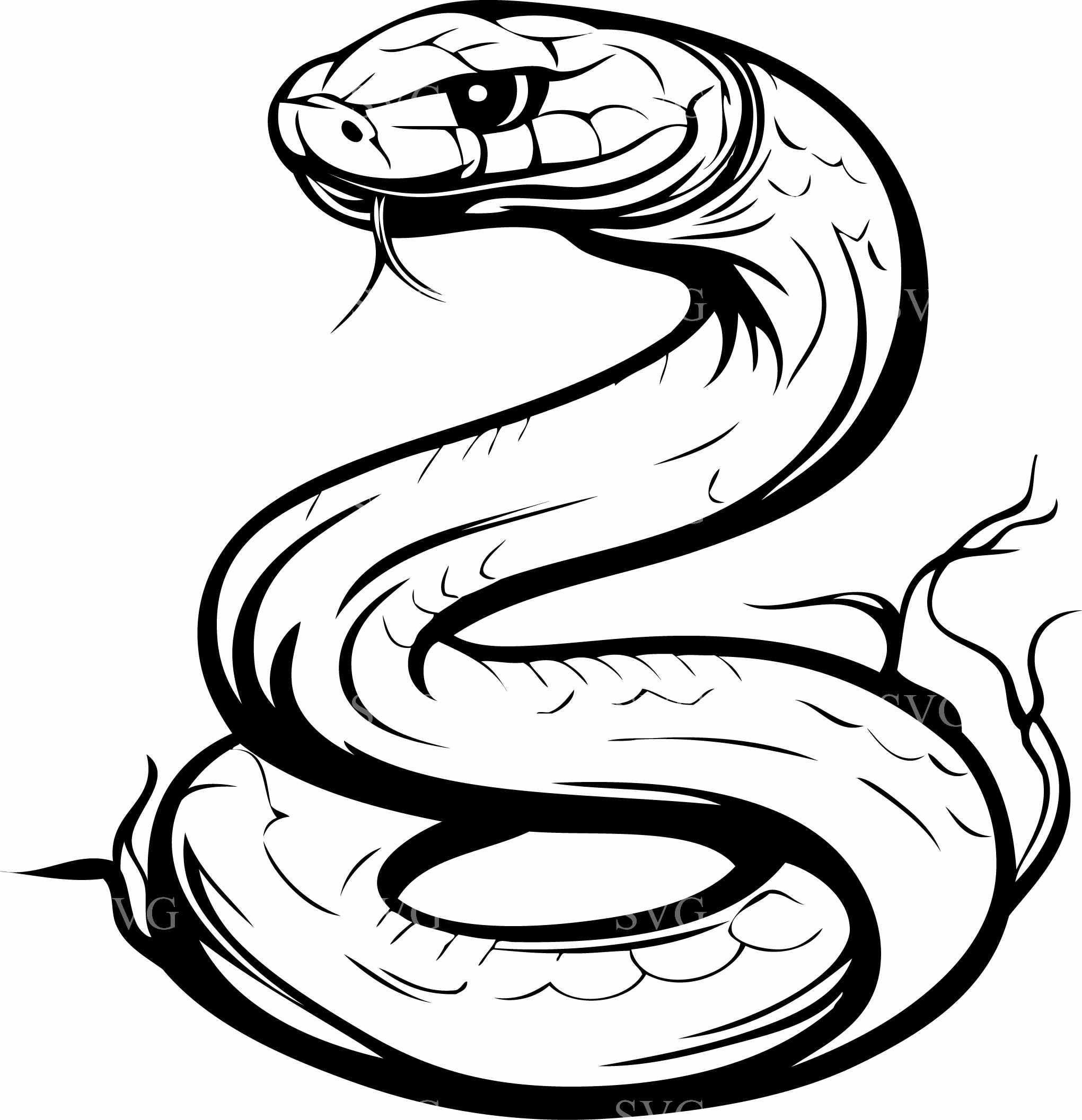 8 Coiled Snake SVG 8 Cut File - Fierce Cobra Silhouette Design - Bold ...