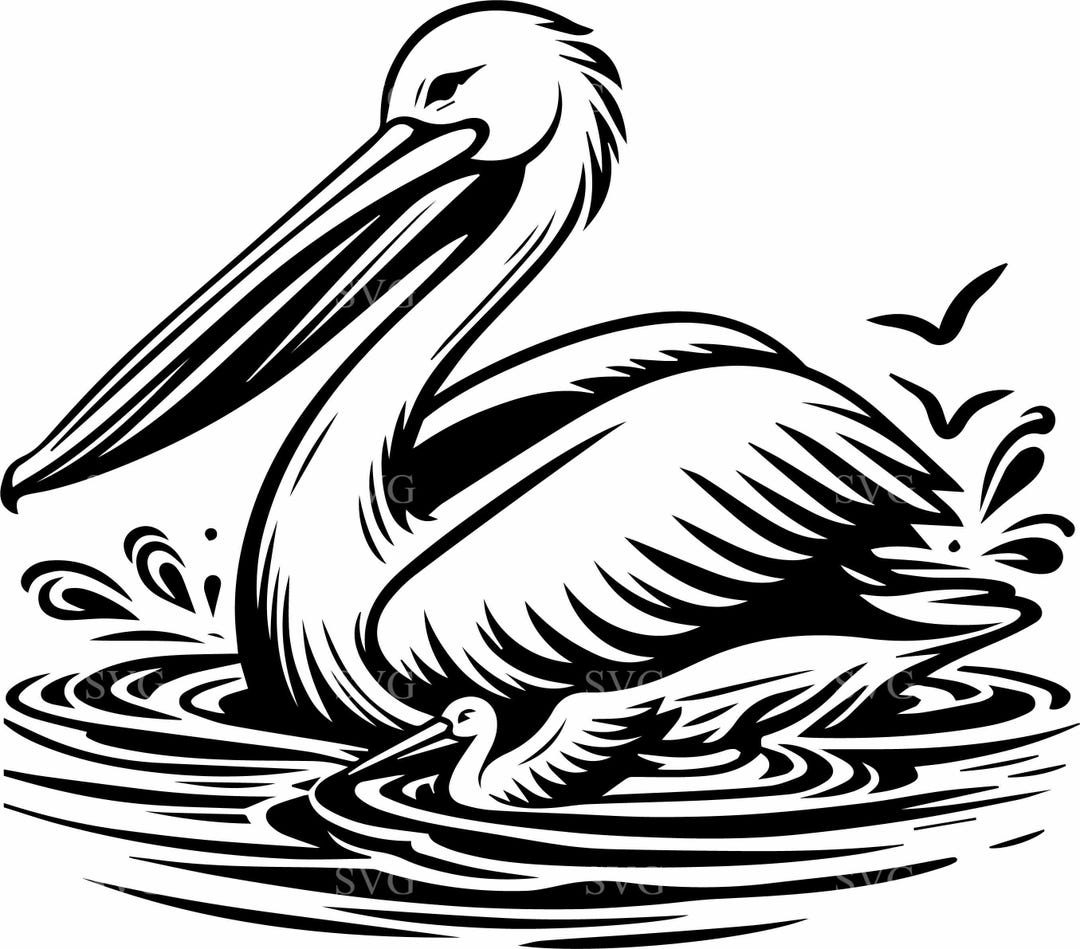 Pelican SVG - 4 Elegant Pelican on Water Clipart for DIY Crafts, Decals ...