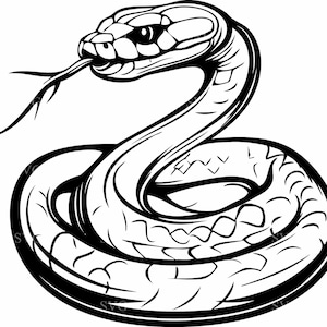 Coiled Snake SVG 8 Cut File - Fierce Cobra Silhouette Design - Bold ...