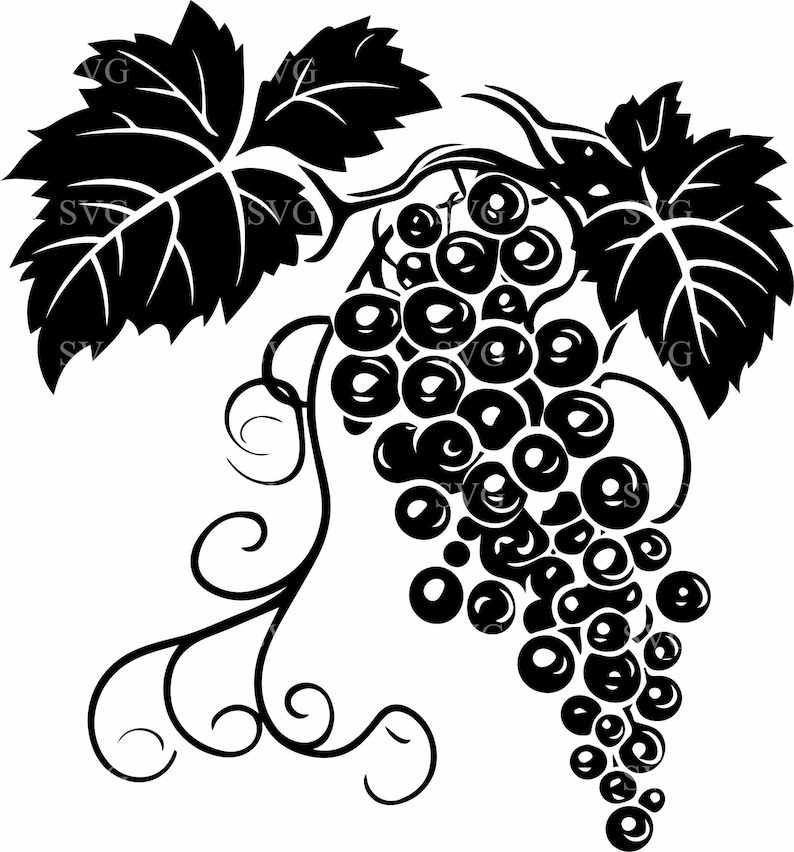 8 Grapevine Silhouette SVG 8 Cut File - Elegant Grape Cluster Design ...