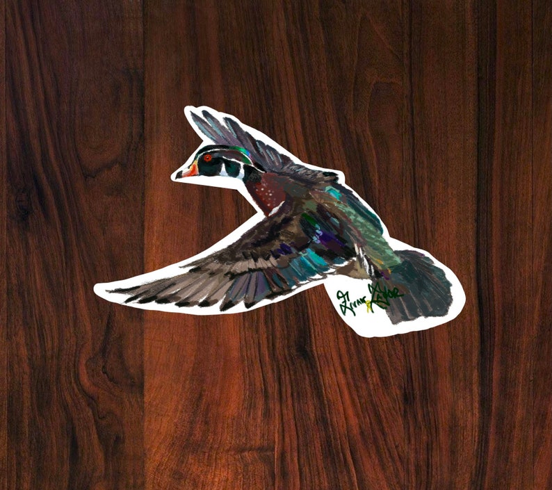 Wood Duck Sticker - Etsy