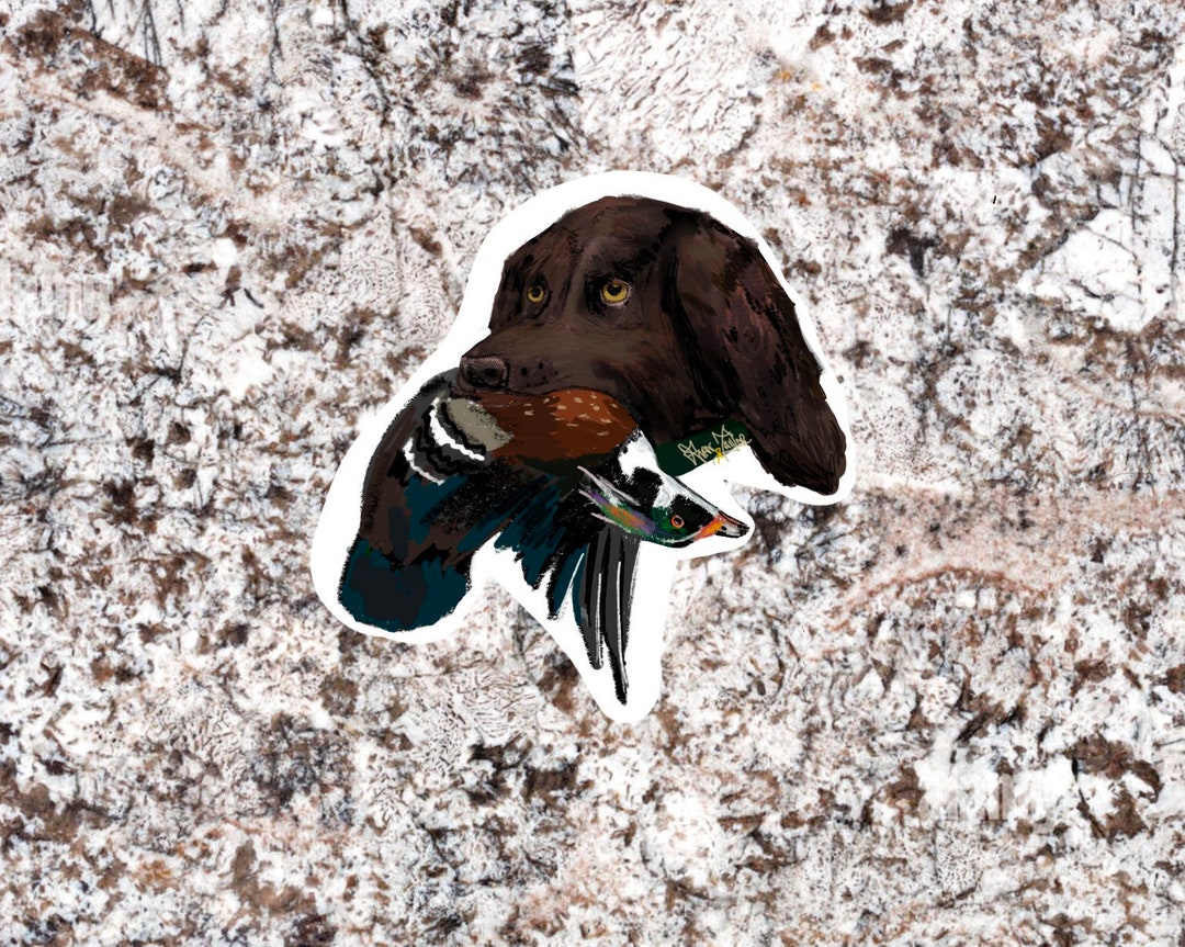 Boykin Spaniel Wood Duck - Etsy