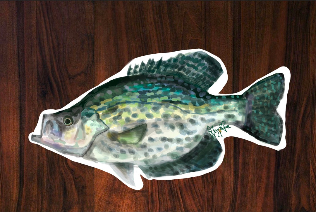 Crappie Fishing Sticker - Etsy