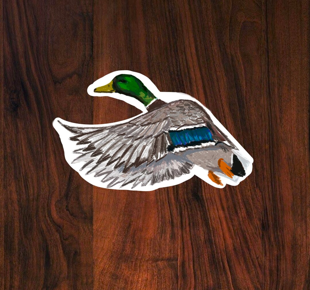 Mallard Duck Sticker - Etsy