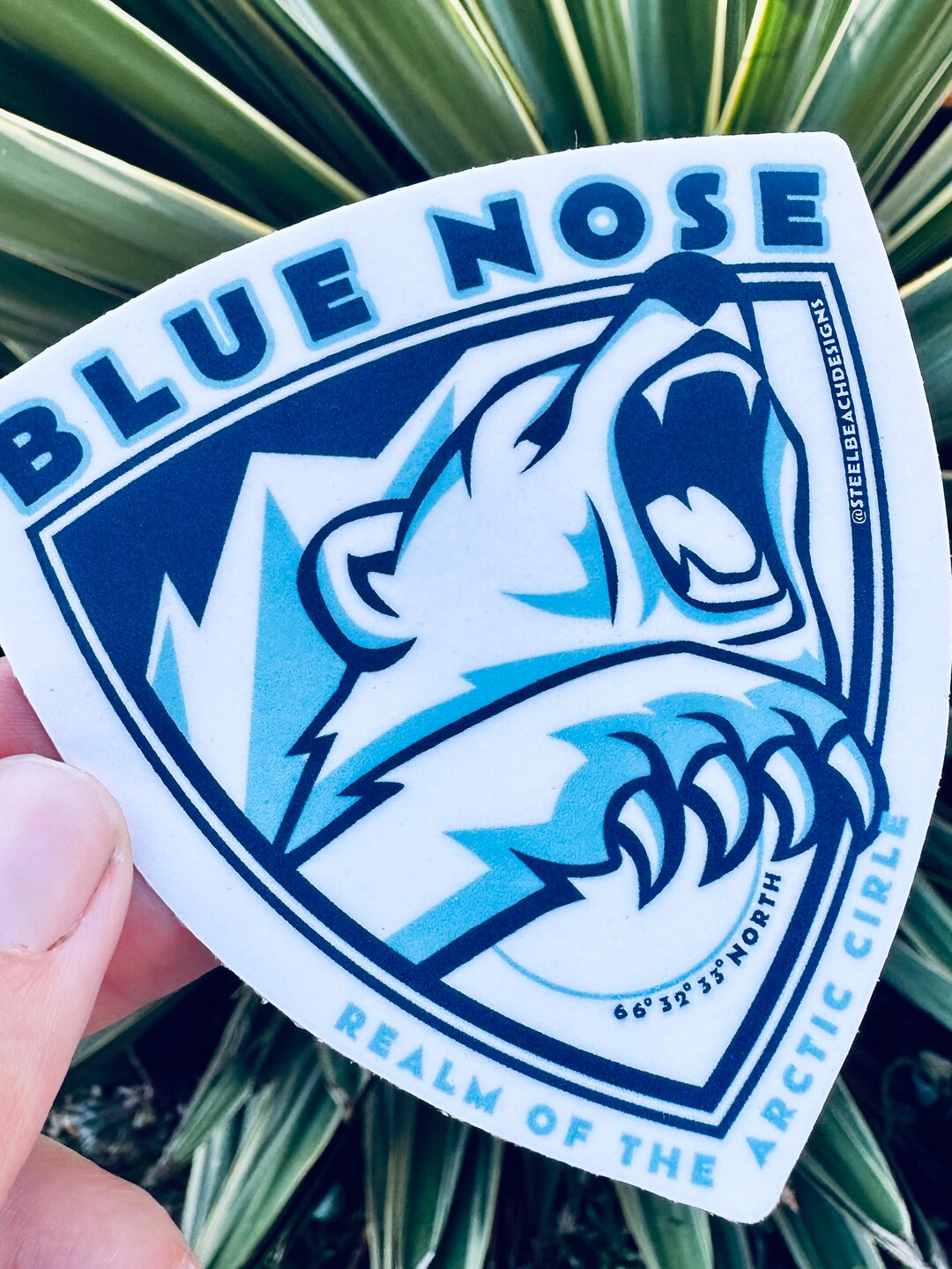 Blue Nose Sticker - Military Decal - Realm of the Arctic Circle - Etsy