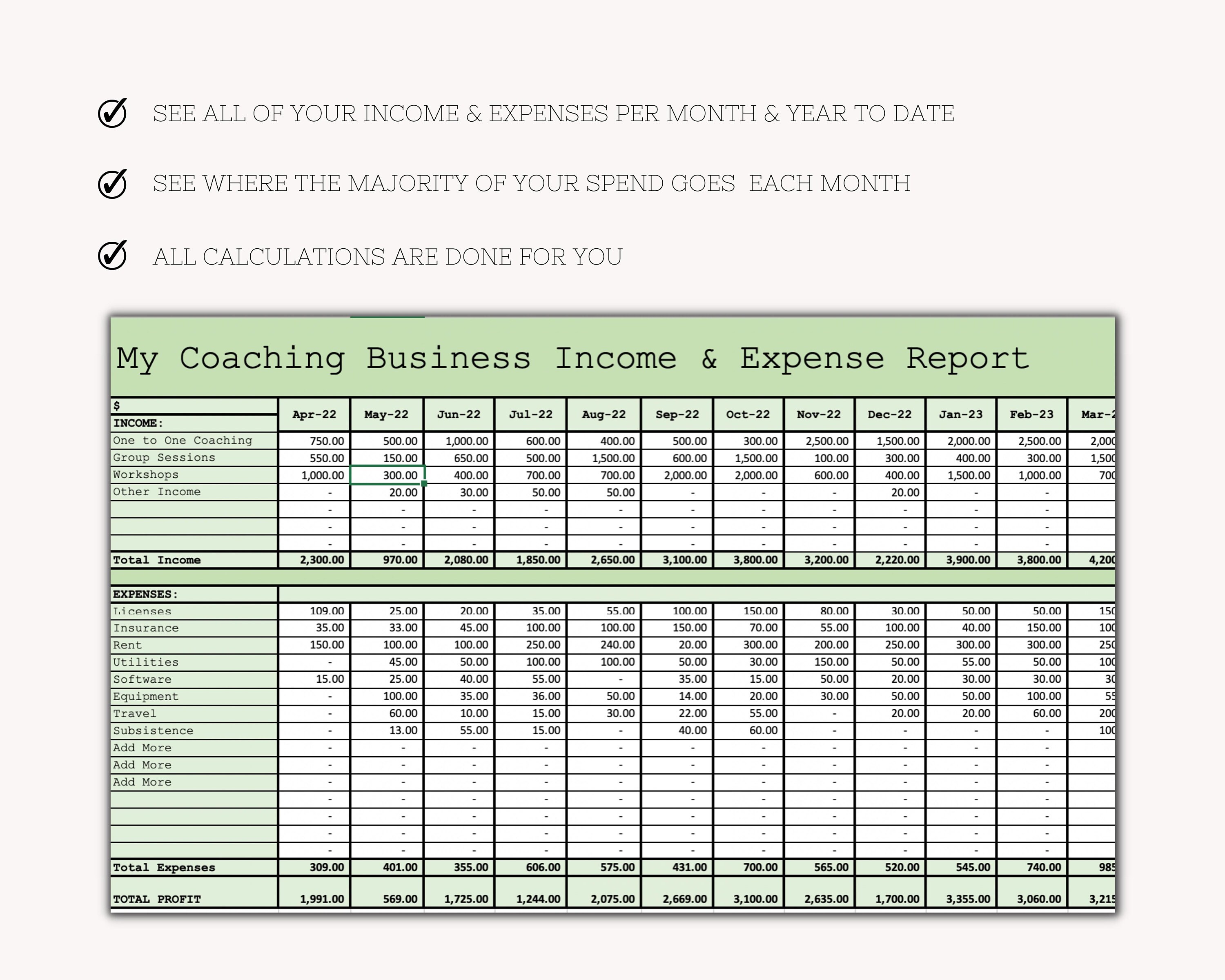 Coaching Business Income and Expenses Bookkeeping Spreadsheet. Perfect ...