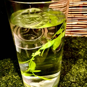 Taino Art Metallic Gold Guanin Amulet - Etsy