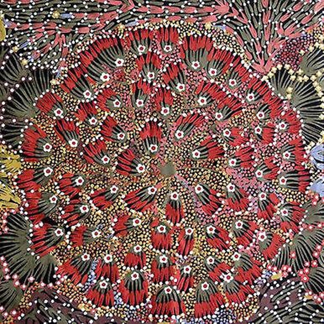 Bush Banana Australian Aboriginal Cotton Fabric by M S Textiles - Etsy