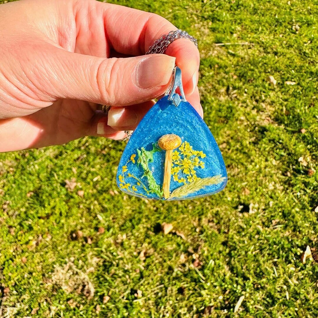 Blue Fungi Terrarium - Etsy