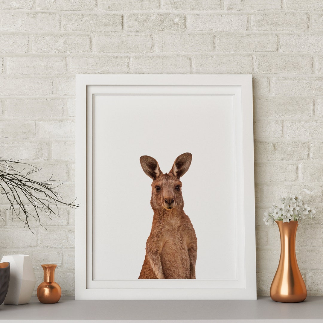 Kangaroo Wall Print, Kangaroo Poster, Australian Native Animal Decor ...