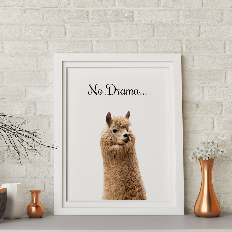 No Drama Llama Wall Print Llama Poster Stylized Photo Art - Etsy Australia