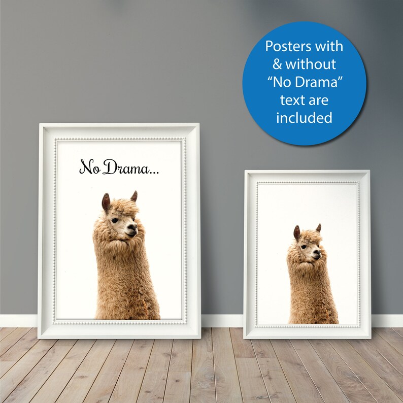 No Drama Llama Wall Print, Llama Poster Stylized Photo Art Printable ...
