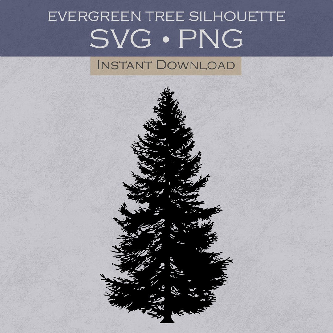 Evergreen Tree SVG Pine Tree PNG Forest Clipart Nature Silhouette ...