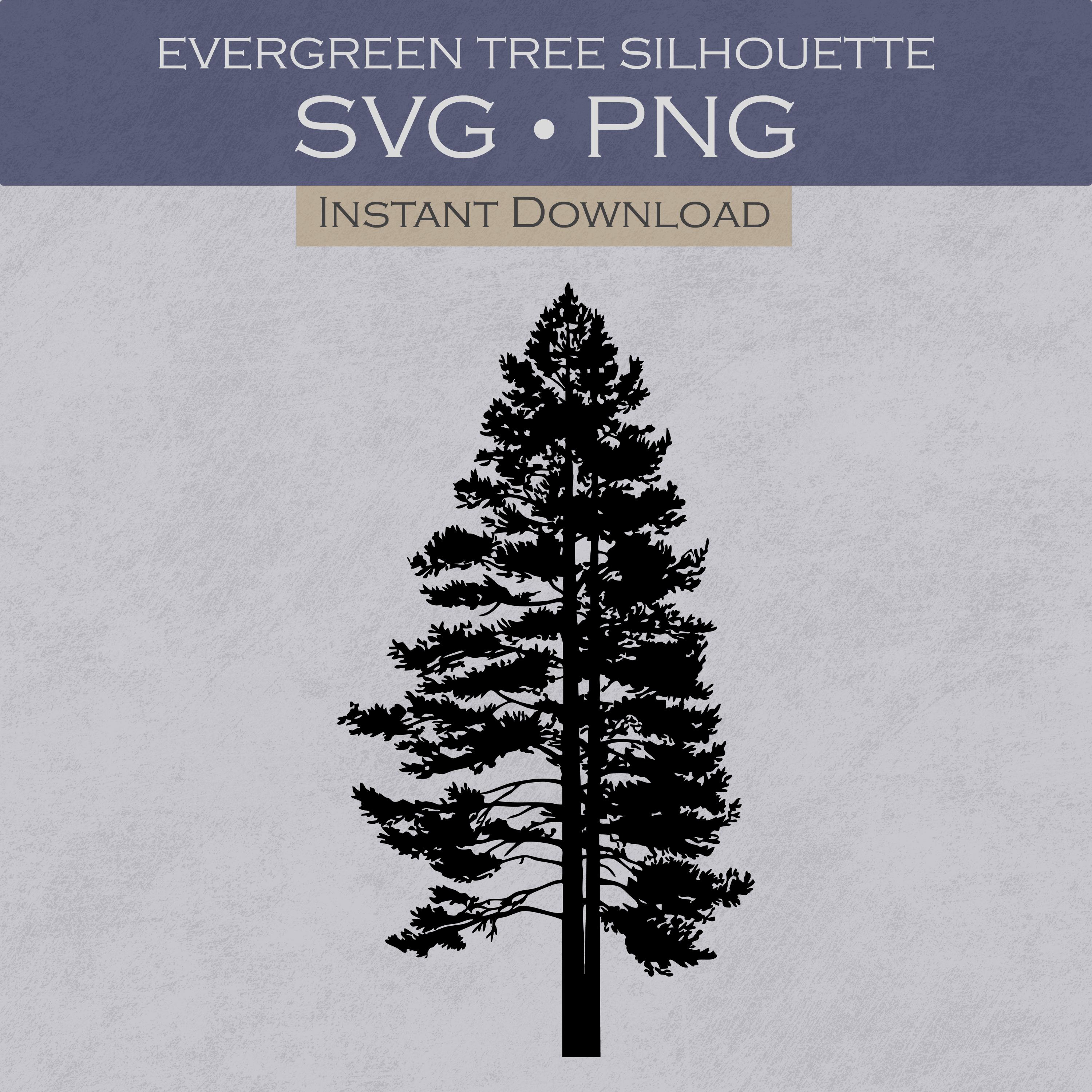 Evergreen Tree SVG Outdoor Nature Pine Forest Clipart PNG Camping ...