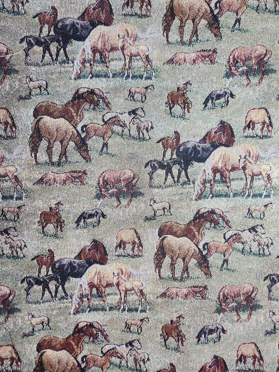 Upholstery Horse Fabric, Western Horse Fabric, Wild Horse Fabric ...