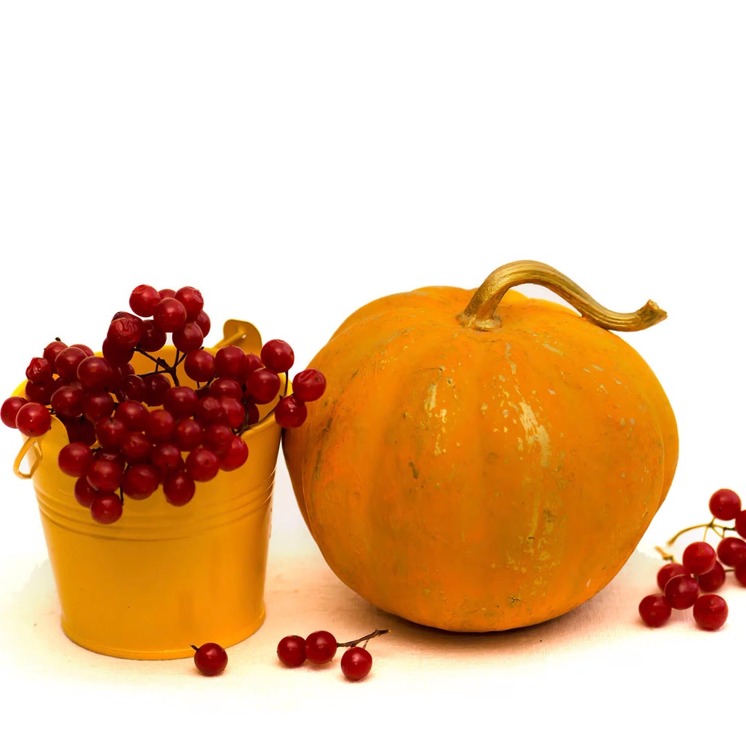 Dried Gourd, Painted Gourd, Cute Gourd, Thanksgiving Pumpkin, Colorful ...