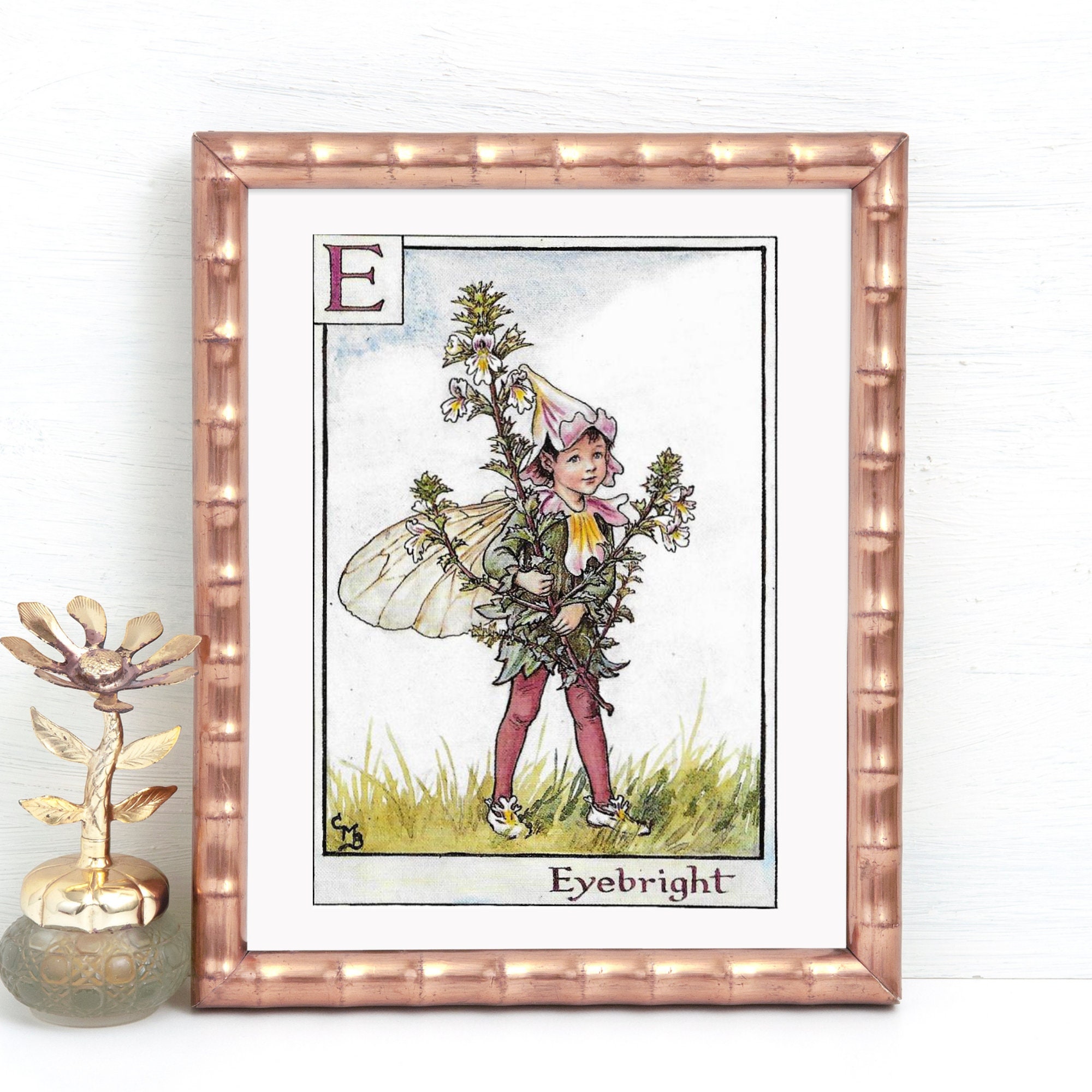 E the Eyebright Fairy, Unframed Alphabet Flower Fairies, Double Daisy ...