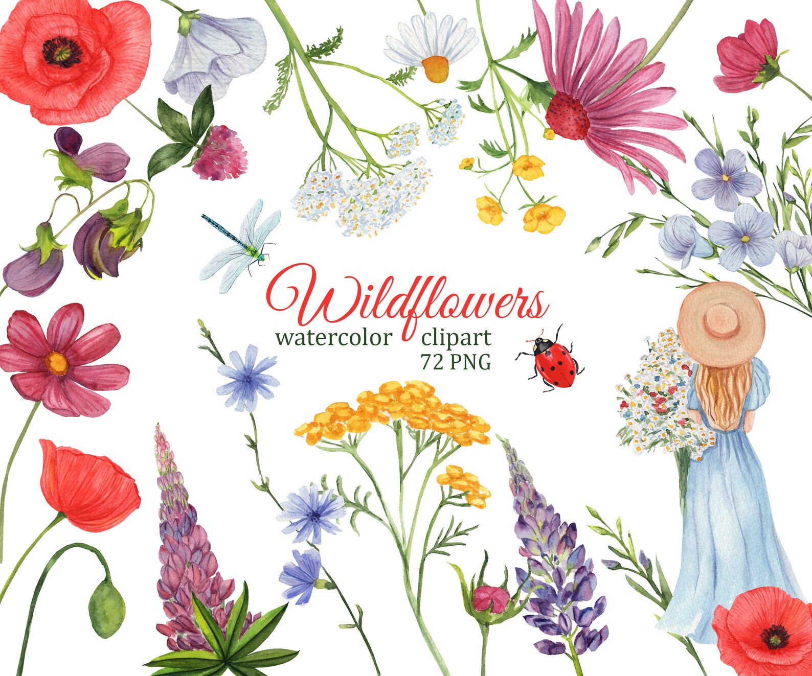 Wildflowers Meadow Watercolor Clipart Summer Png - Etsy