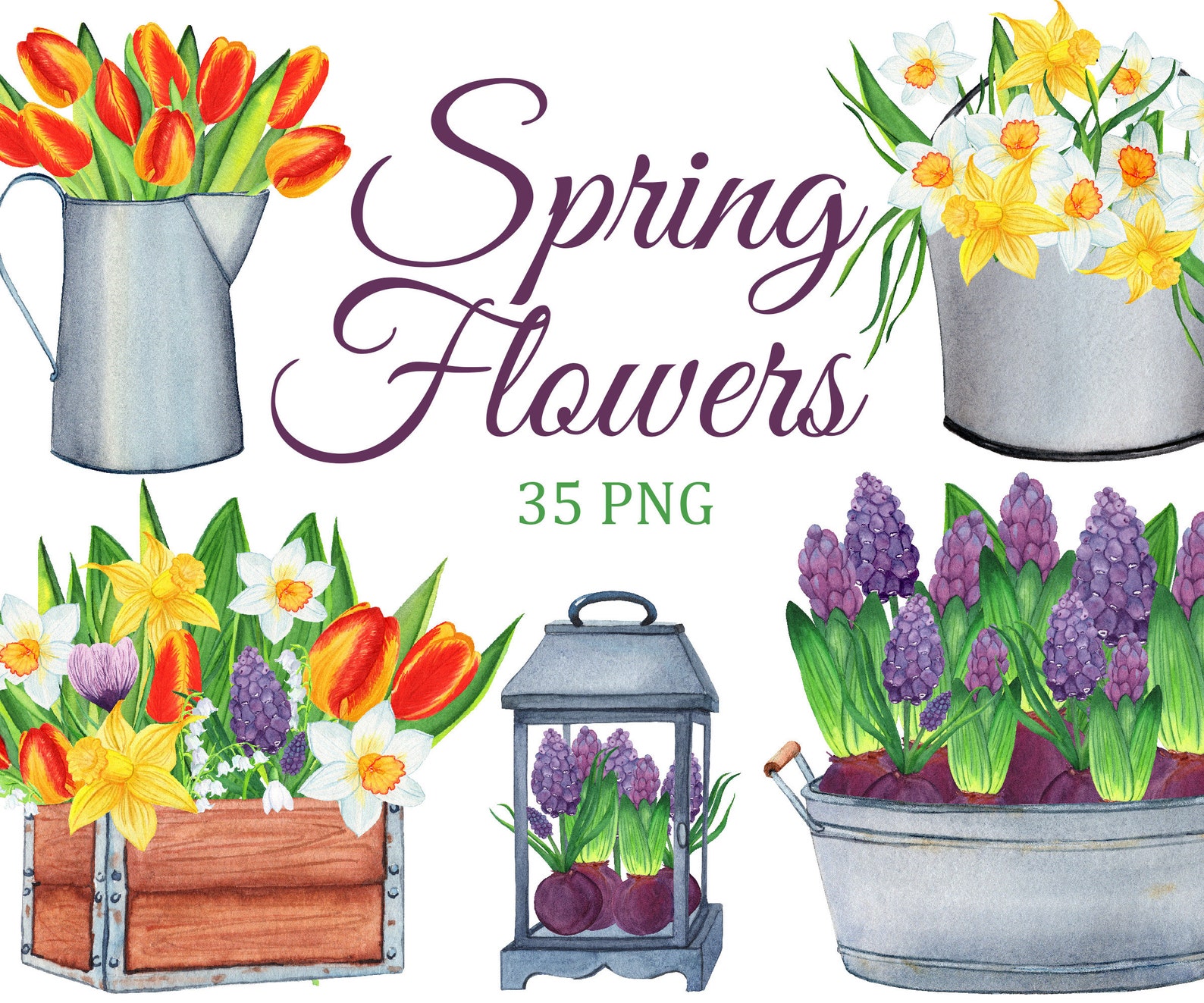Spring Flowers Watercolor Clipart, Spring PNG, Farmhouse Clip Art ...