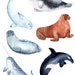 Arctic Animals Watercolor Clipart Winter Clipart Polar Bear - Etsy